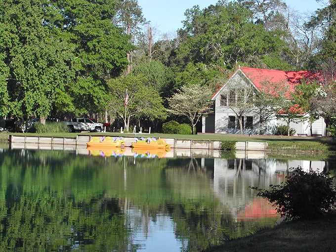 Lakeside living in Americus offers tranquility with a side of paddle boats. Those reflections in the water are better than any Instagram filter.