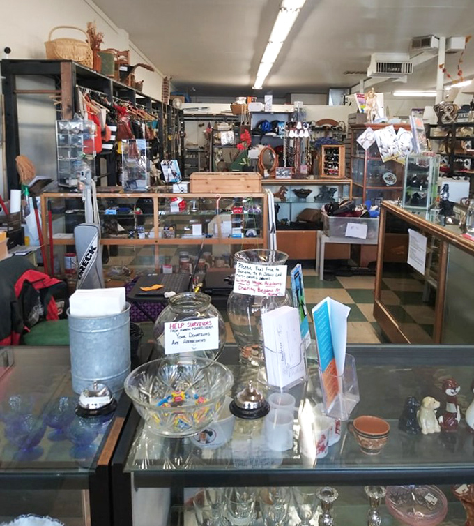 The shop's depth reveals itself the further you venture in, with treasures organized in a system that rewards the patient explorer.