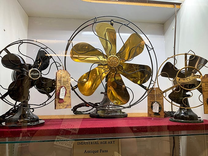 Antique fans that once cooled previous generations now generate heat in the collector's market&mdash;industrial beauty that still turns heads.