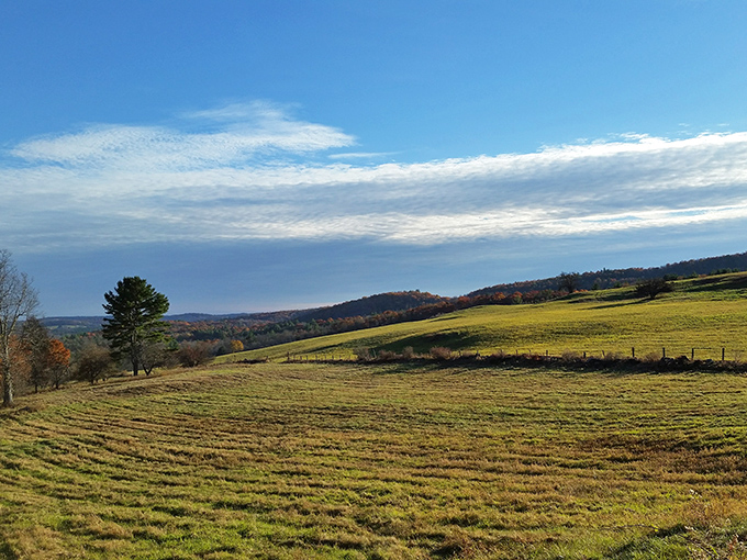 Rolling farmland that stretches to the horizon, reminding you why "pastoral" is both a painting genre and a state of mind.