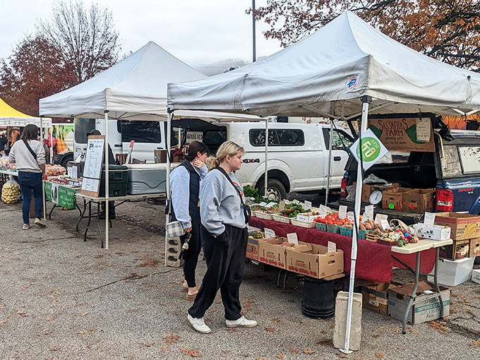 The Athens Farmers Market buzzes with activity, where farm-fresh produce and friendly faces create the weekly ritual that defines local food culture.