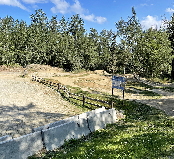 The BMX park offers jumps and turns for kids who think walking is too boring and need something slightly dangerous.
