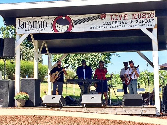 "Jammin' in the Vineyard" isn't just clever wordplay&mdash;it's where local musicians create the soundtrack for your wine country memories.