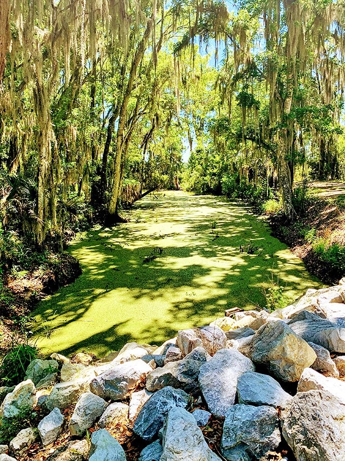This algae-covered waterway is Florida's version of a green smoothie&mdash;wild, untamed, and definitely not available at your local juice bar.