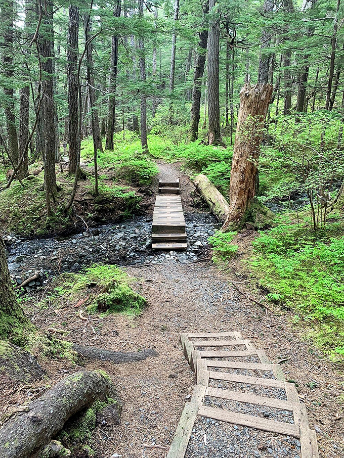 This humble forest trail crossing might not look Instagram-famous, but it leads to views that make social media influencers weep.