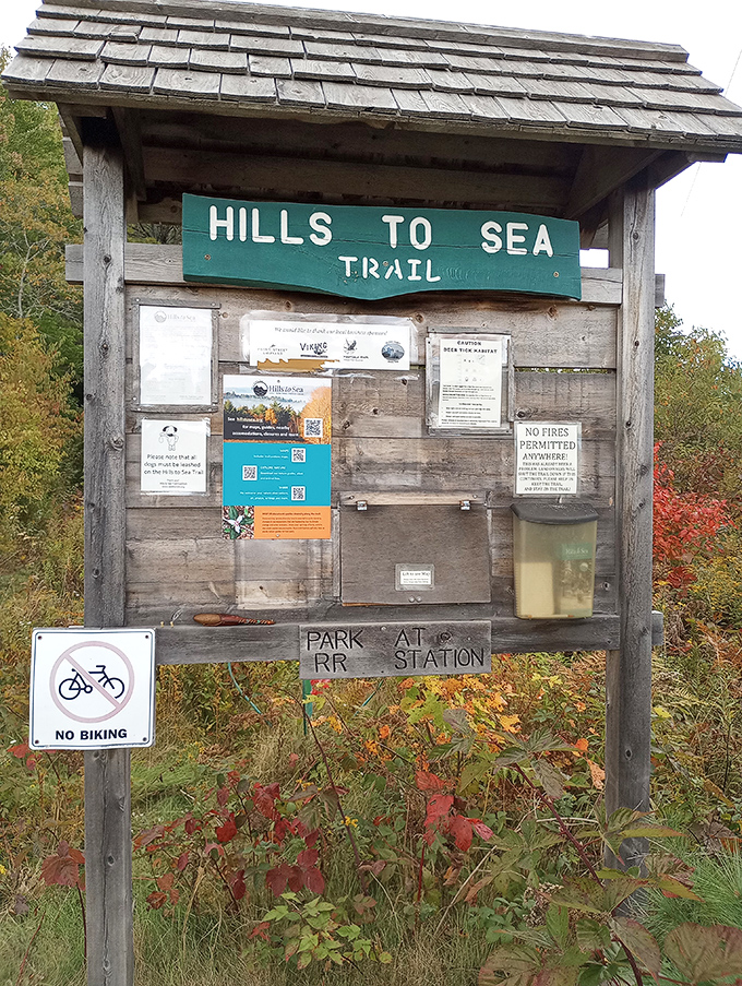 Hills to Sea Trail beckons hikers with 47 miles of "I'll just go a little further" temptation.