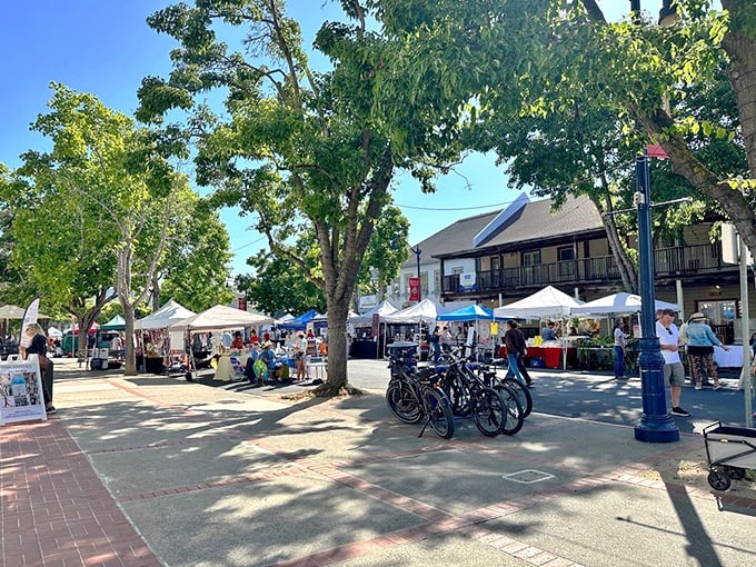 The farmers market transforms ordinary streets into a festival of local flavors, proving that shopping for vegetables can actually be fun.