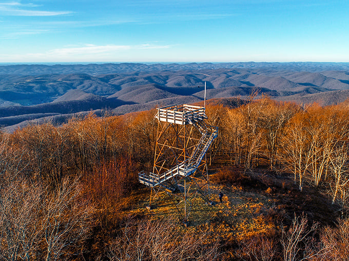 Bickle Knob's observation tower offers views that make the climb worth every step and subsequent leg cramp.