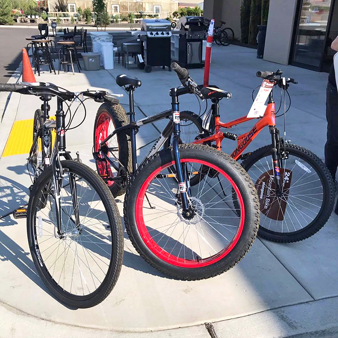 Bicycles bask in the sunshine outside, their frames and bright red wheels promising adventures down paths not yet taken.