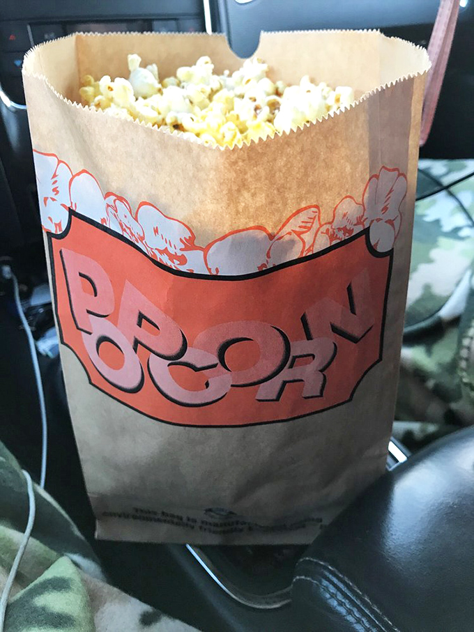 That iconic brown paper bag filled with buttery popcorn&mdash;the essential companion for every drive-in adventure since time immemorial.