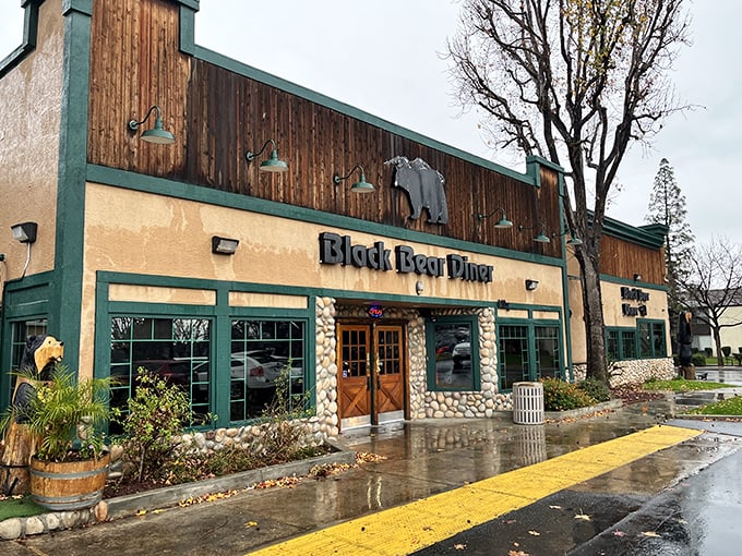 Black Bear Diner's rustic charm beckons hungry travelers with the promise of hearty portions and zero pretension &ndash; comfort food at its finest.
