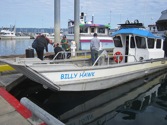 The Billy Hawk water taxi &ndash; your chariot to wilderness awaits. The most exciting commute you'll ever make to absolutely nowhere important.