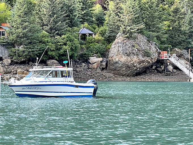 Waterfront property, Alaska-style: where your nearest neighbor is a bald eagle and your morning commute requires a boat rather than a car.