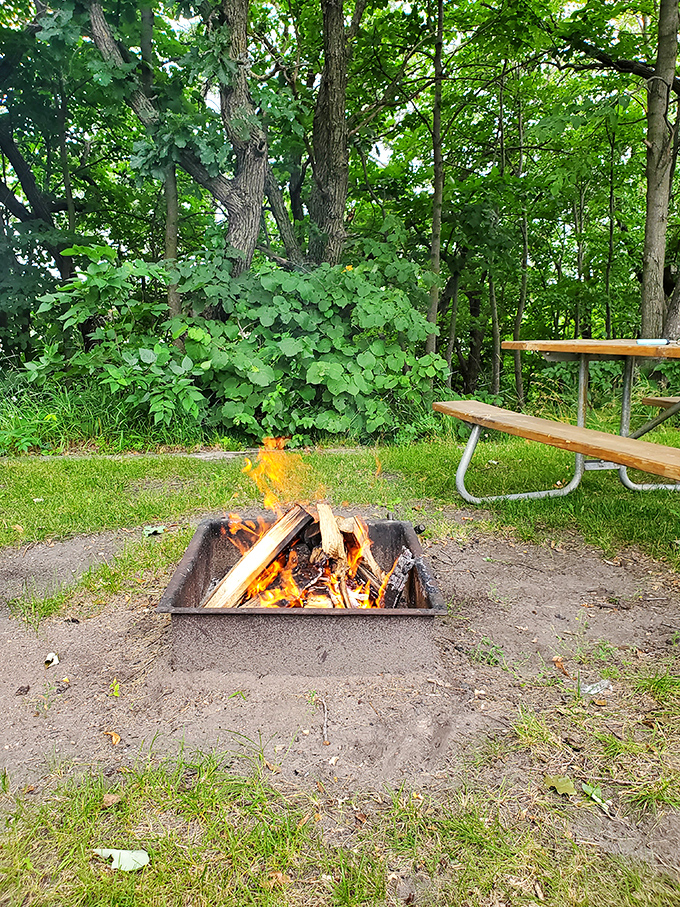 Campfire therapy: where stories get taller, marshmallows get toastier, and city stress doesn't stand a chance against dancing flames.