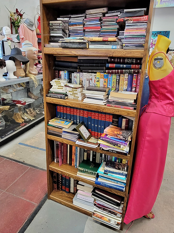 The bookshelf: where literary classics mingle with beach reads and forgotten bestsellers in a paper-and-binding social club of endless possibilities.