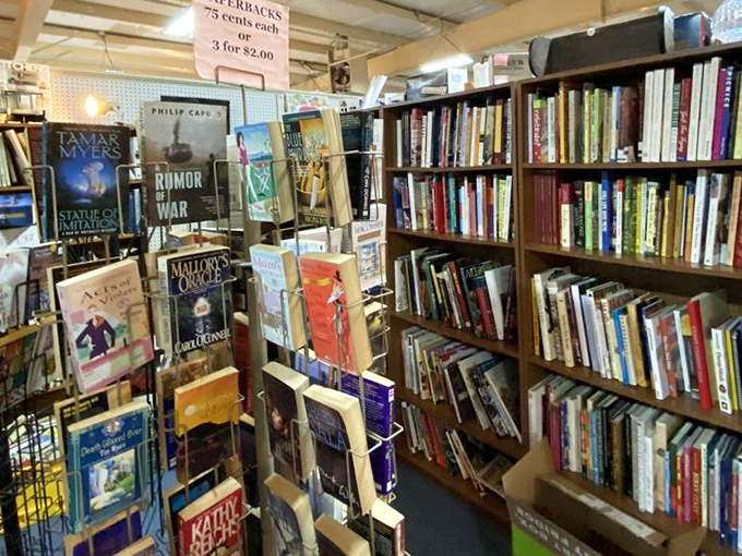 Books upon books&mdash;literary treasures stacked with care. Each spine represents a world waiting to be explored, from Philip Caputo to Tamar Myers.
