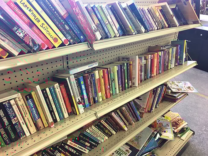 The book section: a literary feast where bestsellers mingle with forgotten classics. Bibliophiles, prepare to lose track of time.