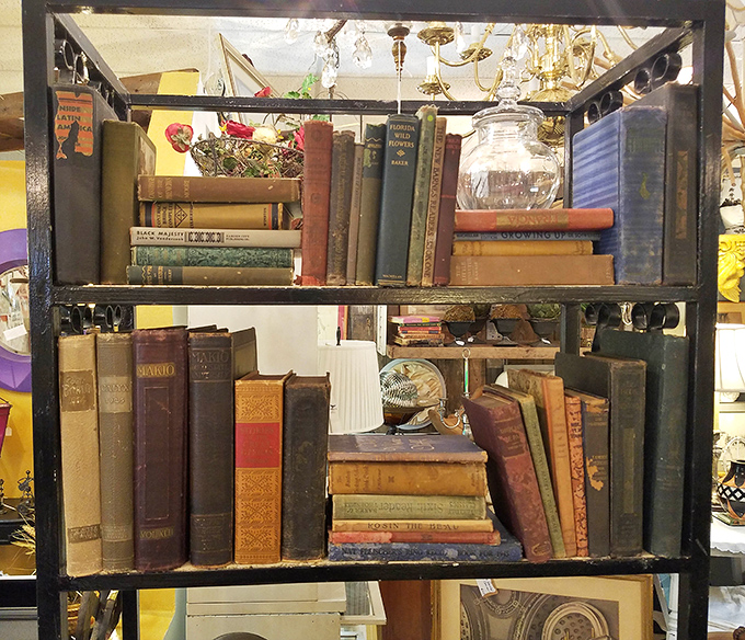 These aren't just old books; they're time capsules with spines, each one holding worlds that existed long before e-readers were even imagined.