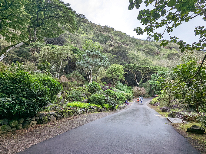 Waimea Valley's botanical wonders create a lush pathway that feels like walking through nature's most impressive green cathedral.