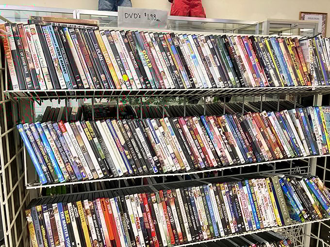 A cinematic time capsule where forgotten films and beloved classics await their chance to entertain once more.