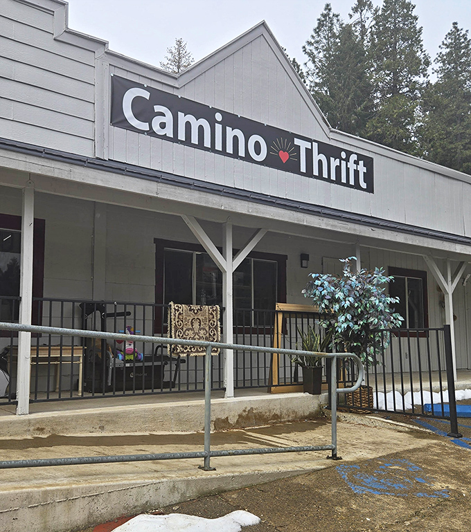 Camino Thrift: Where one person's castoffs become another's treasures. Budget decorating and vintage hunting at its finest!
