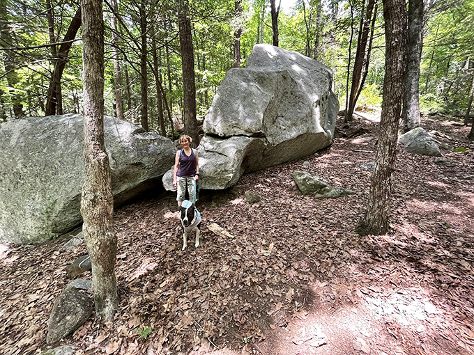 Those massive boulders aren't just rocks &ndash; they're nature's conversation pieces, silently telling stories of geological drama.