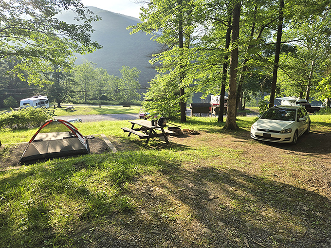 Morning light hits your campsite just right, making even instant coffee taste like a gourmet experience somehow.