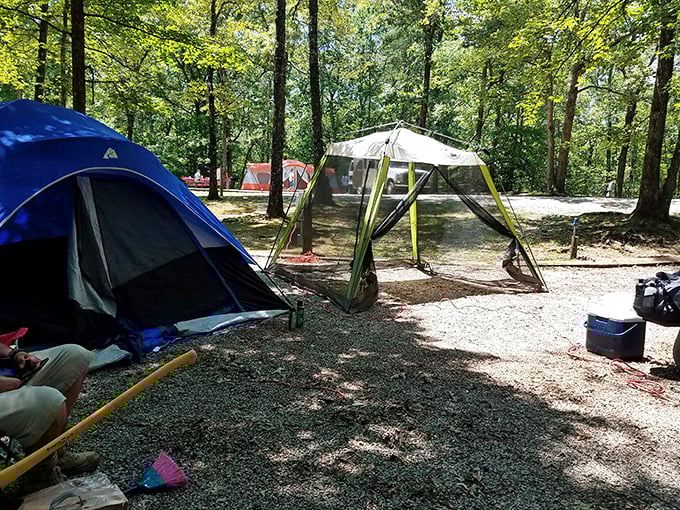 Tent city, population: happy campers. Where the five-star amenities include birdsong alarms and ceiling fans powered by gentle breezes.