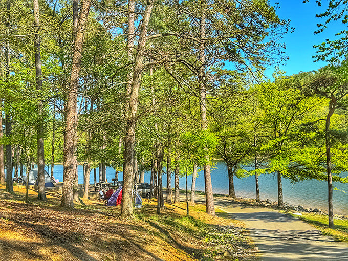The path less traveled often leads to the best views. This lakeside trail delivers postcard moments with every step.