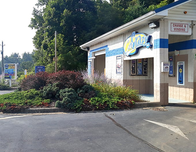 Car Crazy stands as testament that even in paradise, sometimes your vehicle needs attention from people who speak fluent automotive.