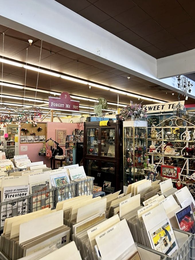 Vinyl records organized with the precision of a library card catalog. Each sleeve holds not just music, but the soundtrack to someone's formative years.