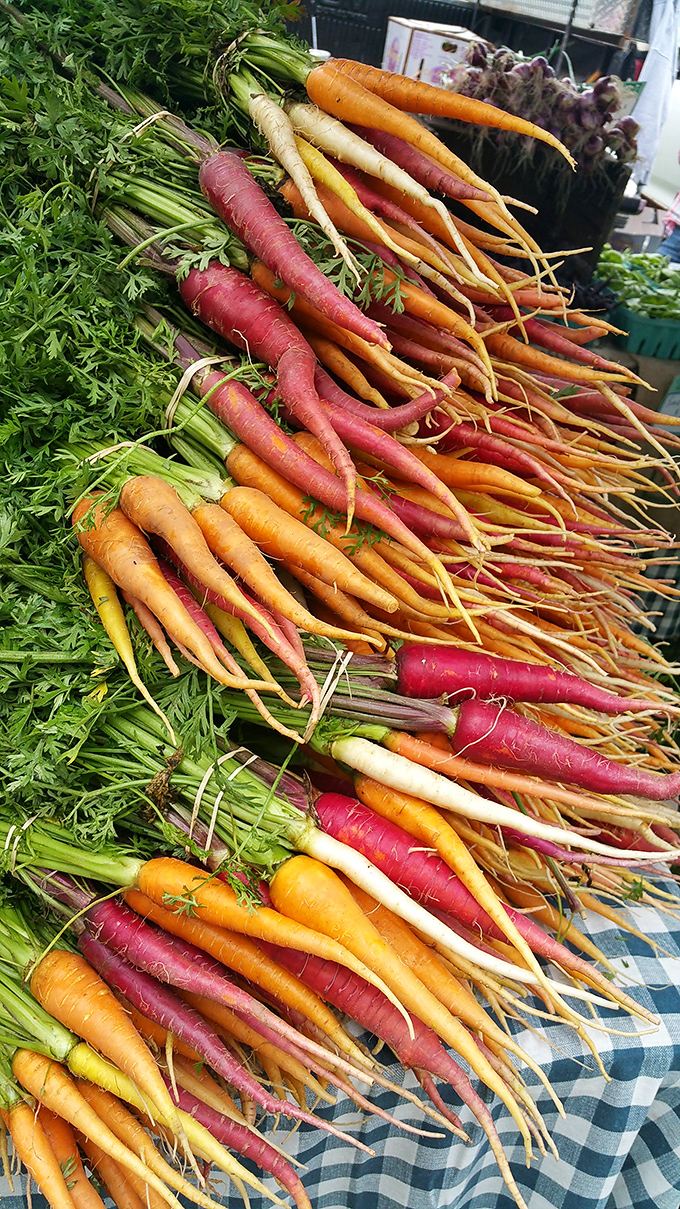 The rainbow carrot brigade, standing at attention. Proof that vegetables can be more photogenic than most Instagram influencers.