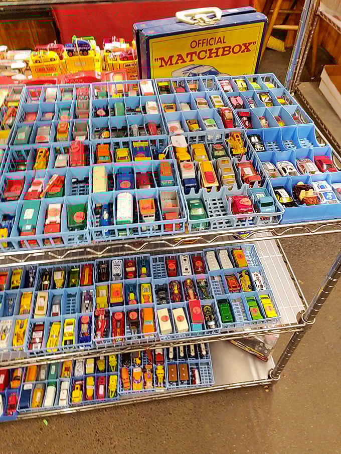 A collector's dream: hundreds of Matchbox cars meticulously organized in blue dividers. Childhood memories parked in perfect rows.