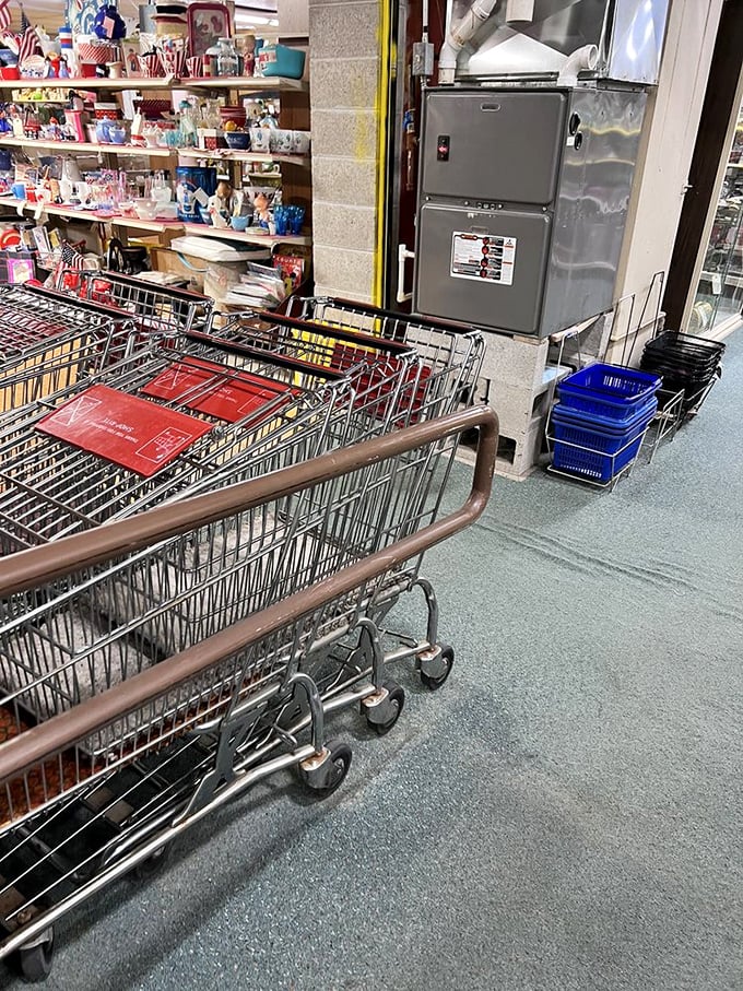 Shopping carts await your treasures like chariots for your newfound antiquing conquests. That vintage refrigerator has kept secrets cold since the Cold War.