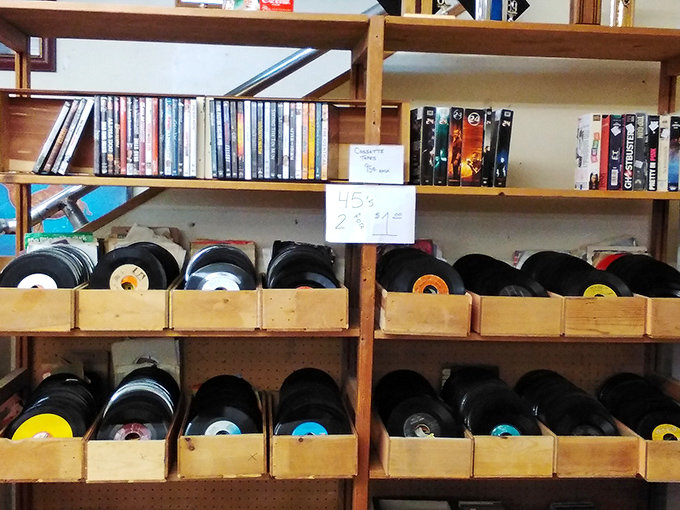 Vinyl records and VHS tapes—the technological dinosaurs that somehow survived the meteor strike of streaming services, preserved in their natural habitat.