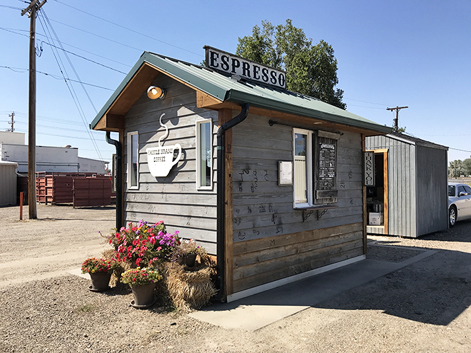 Cattle Brand Coffee proves great espresso doesn't require pretension&mdash;just quality beans and Montana's no-nonsense approach to good things.
