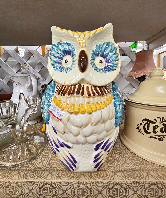 This ceramic owl isn't just kitsch; it's the kind of conversation piece that gives a room personality and makes guests smile.