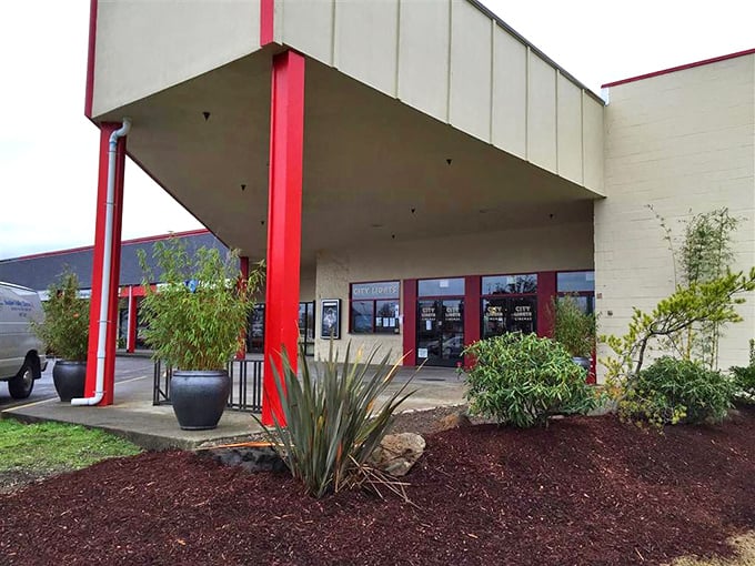 City Lights Cinemas proves that even in paradise, sometimes you need to escape into someone else's story for a couple of hours.