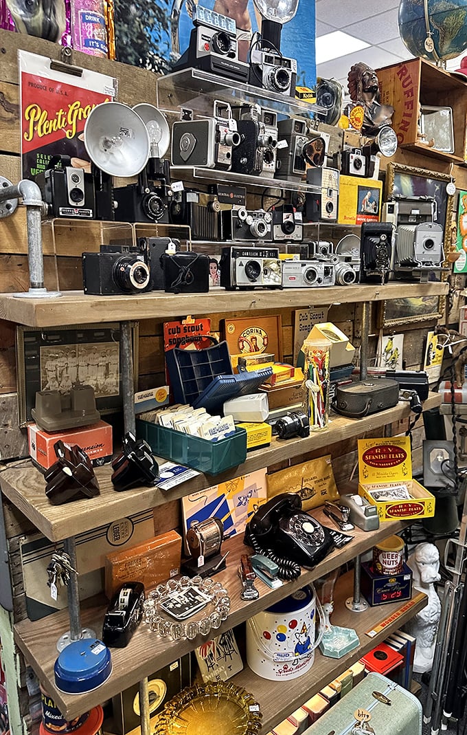 Vintage cameras and rotary phones stand ready for their Instagram moment. Ironic that these pre-digital treasures now make perfect social media backdrops.