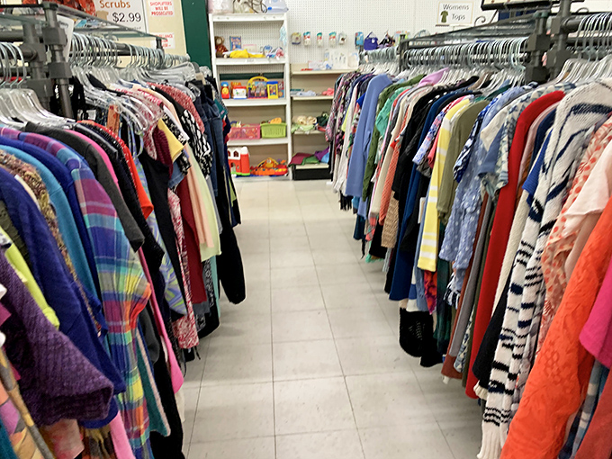 The clothing aisle's perfect organization feels like walking through a rainbow of possibilities, each hanger a potential wardrobe refresh.