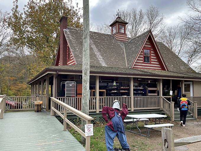Clyde's Cider Mill embodies autumn in New England so perfectly that even pumpkin spice lattes feel inadequate by comparison. Apple cider donuts, anyone?