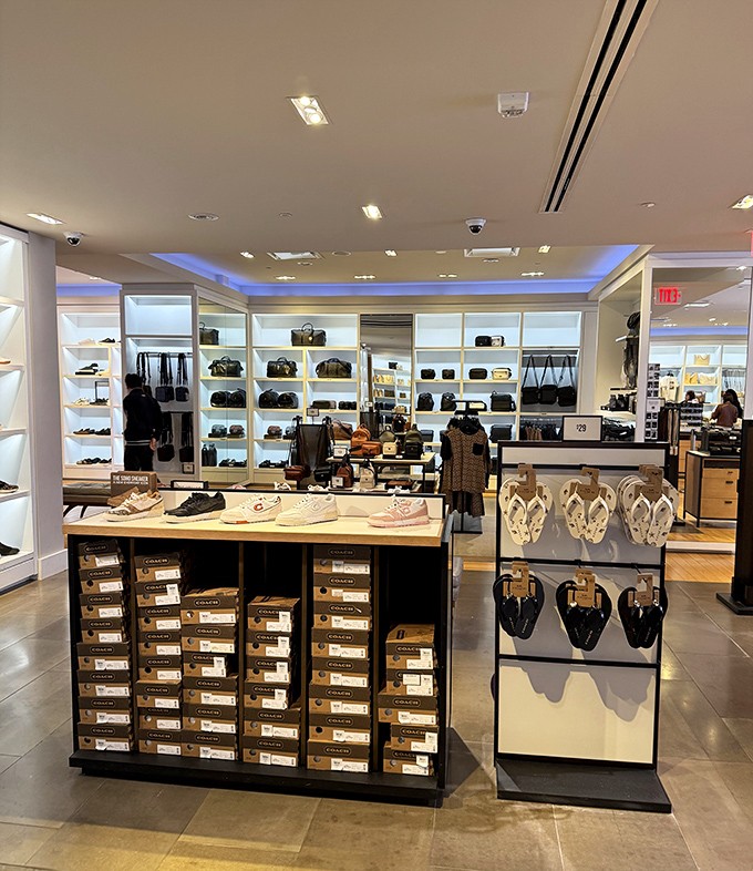 This sleek Coach store display showcases handbags and footwear arranged with the precision of a museum exhibit, but with "touch this" encouragement.