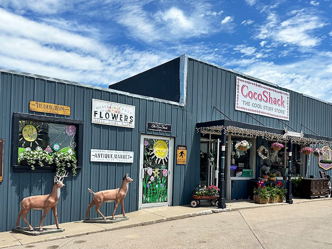 The CocoShack proves Nebraska knows quirky retail therapy. Those deer statues aren't just decorations &ndash; they're the welcoming committee!