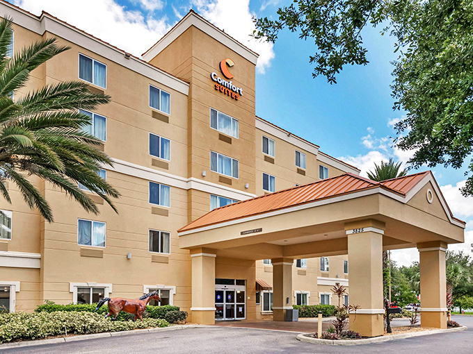 The Comfort Suites stands ready for weary travelers, offering that sweet spot between luxury splurge and "I'm too old to sleep in my car" practicality.