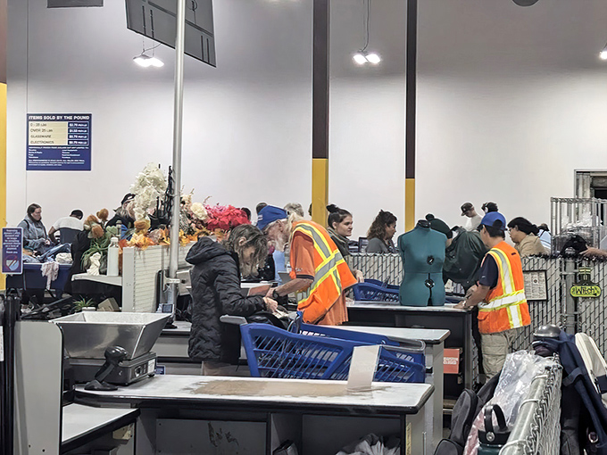 Where the magic becomes official. Friendly staff in safety vests weigh your treasures while veterans share knowing glances about their best finds. 