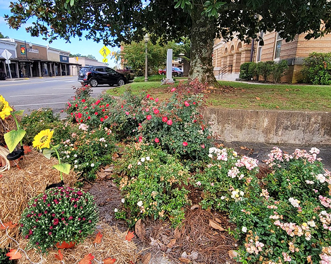 Flower beds brighten the downtown landscape, proving that Southern hospitality extends to making sure even the sidewalks look their best.