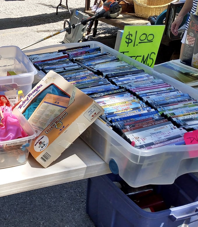 Movie night for a dollar? These DVD bins are like archaeological digs where yesterday's blockbusters await rediscovery.