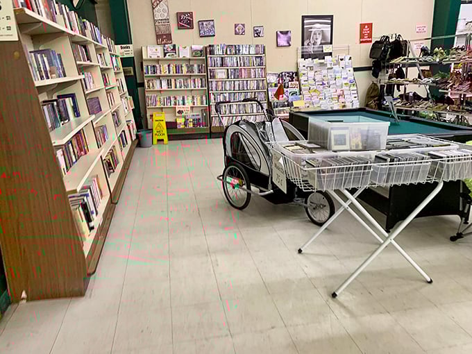 Literary treasures and media memories line these shelves&mdash;paperback adventures and DVD marathons waiting for rainy North Dakota weekends.