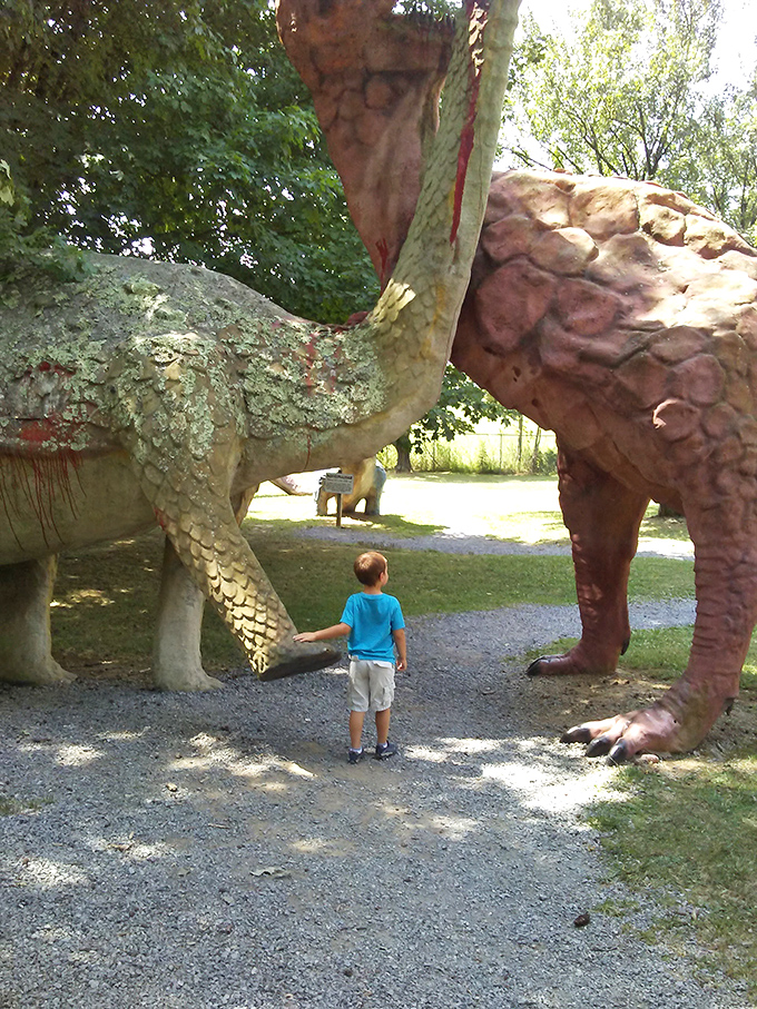 Jurassic Park meets yard art! These prehistoric giants prove that sometimes the most unexpected finds make the most memorable garden statements.