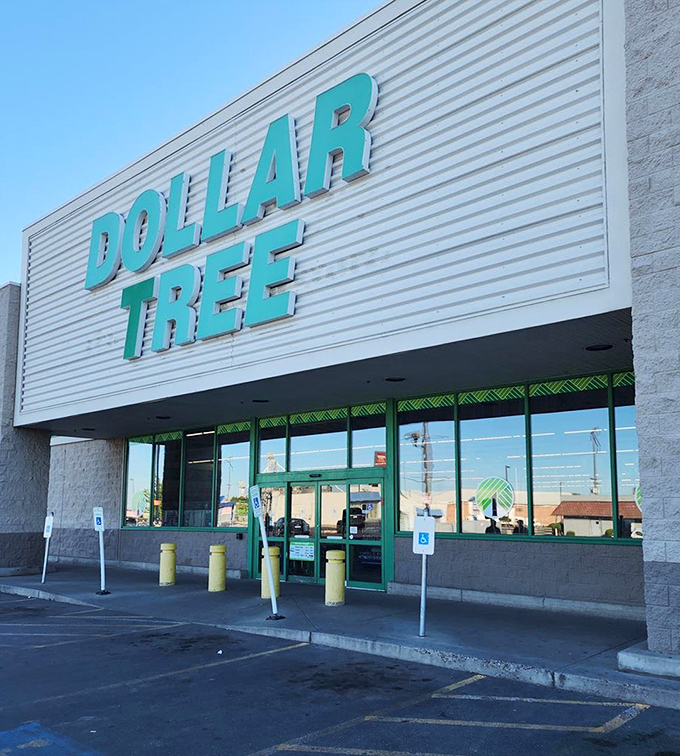 Dollar Tree proves that treasure hunting doesn't require deep pockets, just a keen eye for bargains.